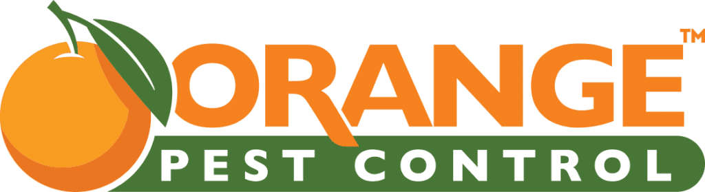 What To Do About a Bug Inside Your Computer Screen | Orange Pest Control