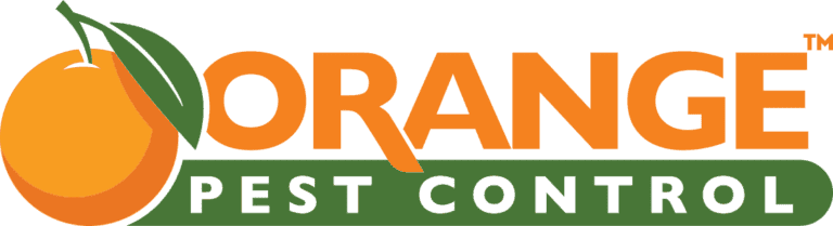 Stop Mice Fast: Use the Right Baits | Orange Pest Control